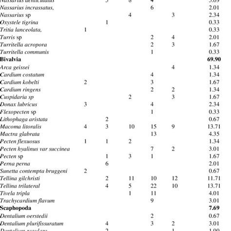 Species Composition And Distribution Of Macroinvertebrate Fauna