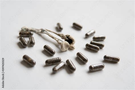 Magic Shroom Micro Dosing Psilocybin Mushroom Dry Psilocybe Cubensis