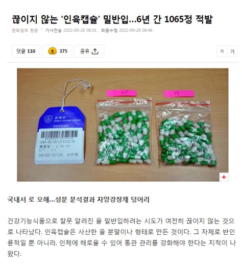 끊이지 않는 인육캡슐 밀반입6년 간 1065정 적발 DogDrip Net 개드립
