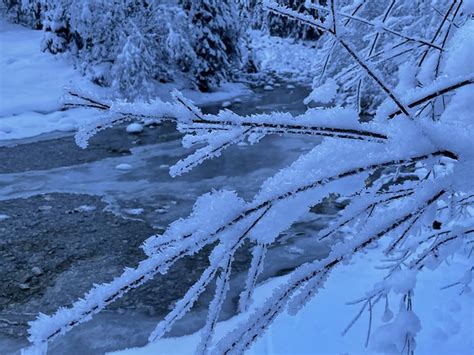 Winter Nature Frost Free Photo On Pixabay Pixabay