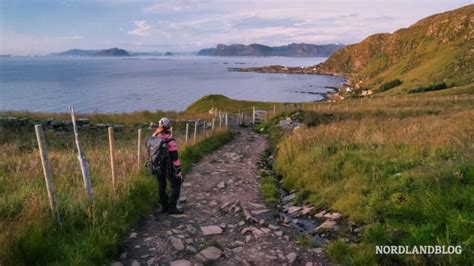 Papageitaucher In Norwegen Orte And Tipps Für Beobachtungen