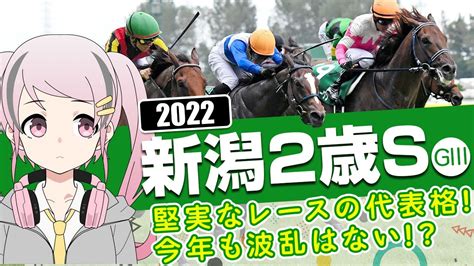 キタウイングが勝利【新潟2歳s 2022 競馬予想】今年も波乱はない！？【重賞】 Youtube