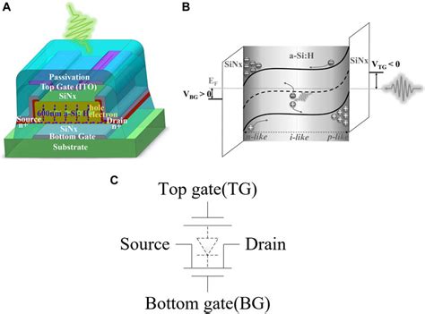 Frontiers Electronic Global Shutter One Thin Film Transistor Active