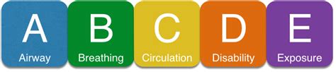 😂 Abcd Nursing Assessment The Abcde Approach 2019 02 09