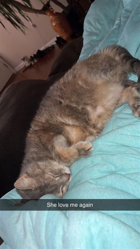 Kitty Rkitty