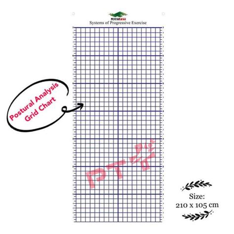 Pt Plus Postural Analysis Grid Chart ขนาด 210 Cm X 105 Facebook