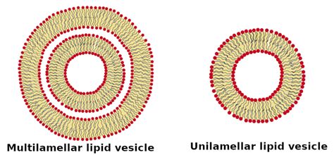 Tutorial Lamellar Structures