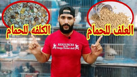 اوعي تأكل الحمام علف او كلفه بالطريقه دي هيموت منك Youtube