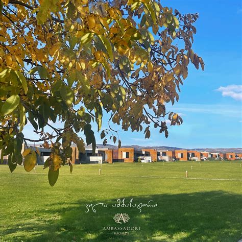 ვილა ამბასადორი • Villa Ambassadori Home