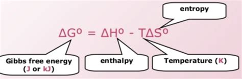 Entropy And Enthalpy Signs Flashcards Quizlet