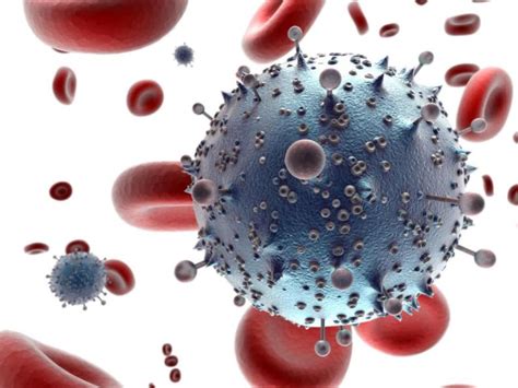 Avance en investigación del SIDA Cariotipo
