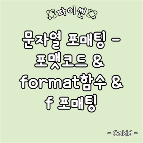 파이썬 문자열 포매팅 포맷 코드 Format 함수 F 포매팅