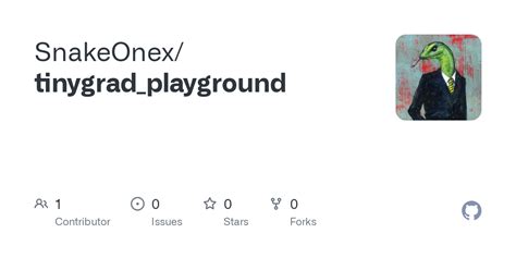 Github Snakeonex Tinygrad Playground