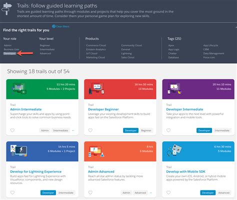 Creatively Decode Your Salesforce Developer Journey Automation Champion