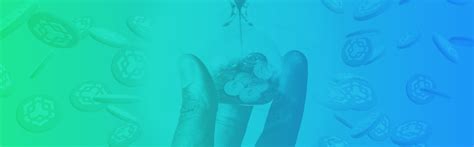 Best Staking Campaigns On Bnb Chain