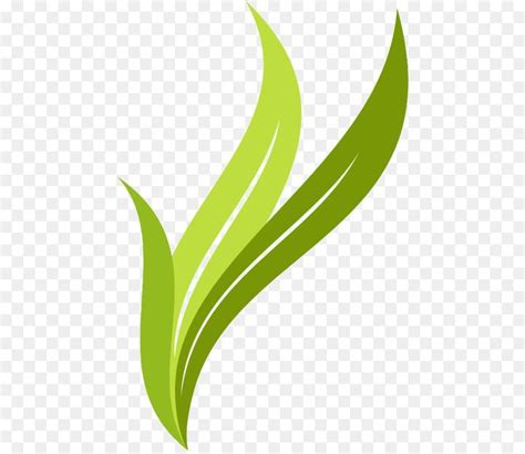 Grass Leaf Logo Logodix