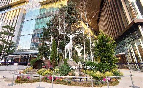 東京ガーデンテラス紀尾井町 Kioi Winter Forest 2022｜実績・事例｜西武造園株式会社
