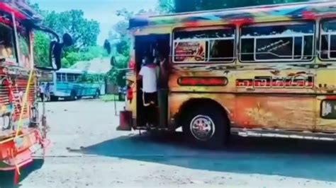 Kubiyo And Dumburu Lamissi 🚌 කූඹියෝ And දුඹුරු ළමිස්සි Sl Bus Fans Youtube