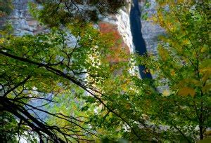 A Jump Start On Fall Colors Wind Against Current