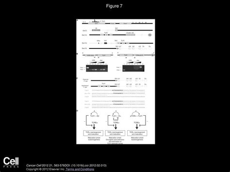 Volume Issue Pages April Ppt Download