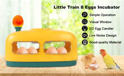 Amazon 8 Eggs Incubator Incubators For Hatching Eggs With Digital