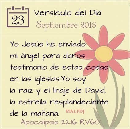 Vers Culo Del D A Apocalipsis Rv
