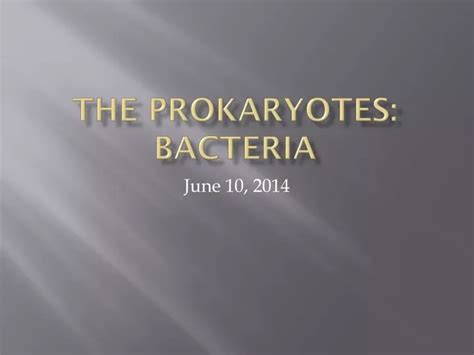 PPT The Prokaryotes Bacteria PowerPoint Presentation Free Download ID 2394025