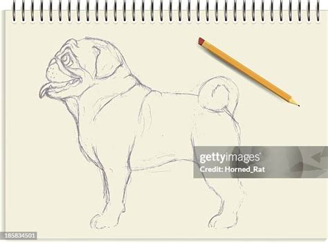 Pencil Drawings Of Dogs Photos And Premium High Res Pictures Getty Images