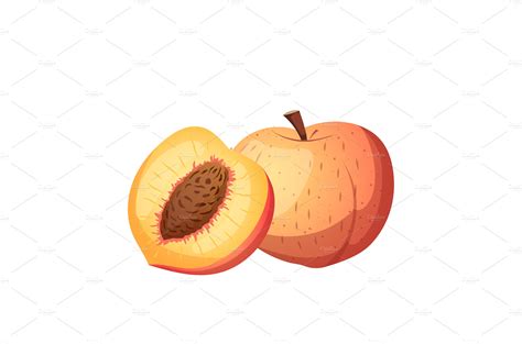 Fruit Peach Cartoon Vector Food Illustrations ~ Creative Market