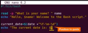 How To Copy And Paste In Bash Methods With Cases