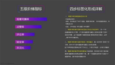 2023抖音IP孵化运营方案 知乎