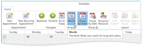 viewbase caption property wpf controls devexpress documentation