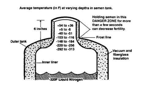 Proper Semen Handling Techniques