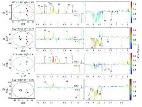 Opls Da Scores Plots Left And Coefficient Coded Loadings Plots