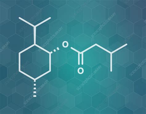 Menthyl Isovalerate Drug Molecule Illustration Stock Image F028 3293 Science Photo Library
