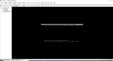 重置root用户密码重置root密码 Csdn博客