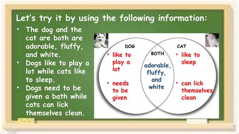Writing Compare And Contrast Paragraphspptx