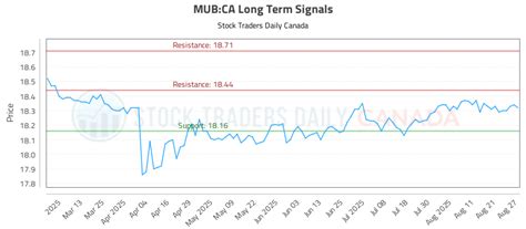 Mub Trading Report