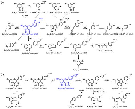 Proposed Msms Fragmentation Pattern Of Flavonoids Eriodictyol A And