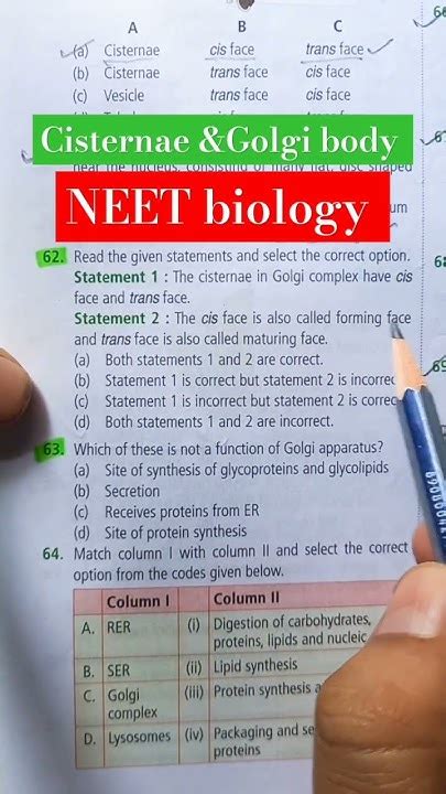Neet ⭐️ ⭐️ Cisternae In Golgi Body Have Cia And Trans Face Shorts Youtubeshort Neet Youtube