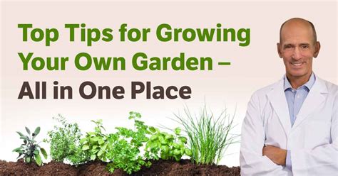 Ultimate Guide To Gardening