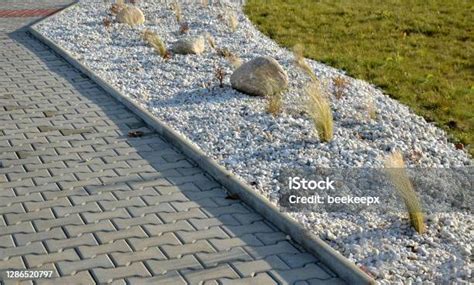 다년생 과 회색 화강암 바위 바위 장식 화단 도시 정원 대초원 장식 잔디 주차 쇼핑 센터에서 자갈에 의해 뿌리 덮개 0명에 대한 스톡 사진 및 기타 이미지 Istock