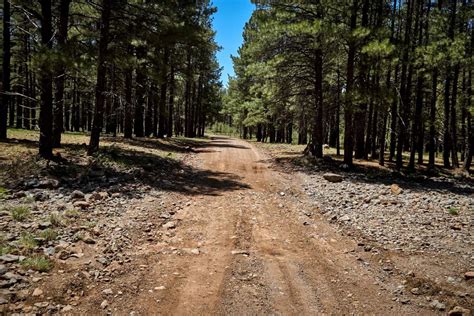 Loop Road 108 South Section Arizona Gps Trail Map Conditions And Difficulty Onx Offroad