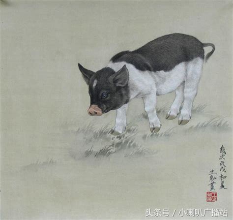 十二生肖手繪彩色工筆畫欣賞 每日頭條