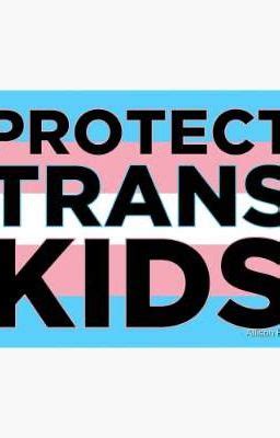 Explaining Genders Sexualities E C H O Wattpad