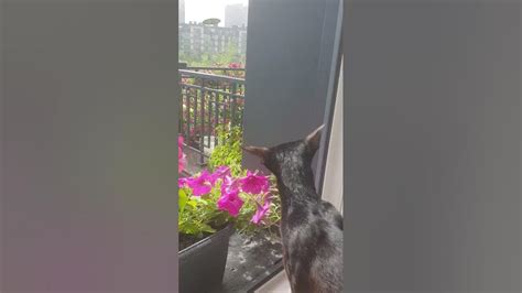 Радость в мелочах💖 - YouTube