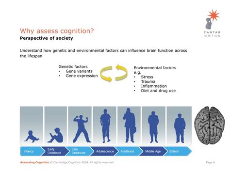 Ppt Assessing Cognition Powerpoint Presentation Free Download Id 6223305