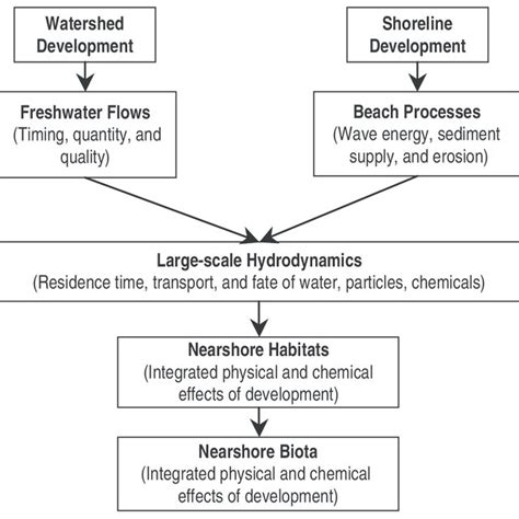 Conceptual Model Of Urban Contaminant Transport Pathways From Sources