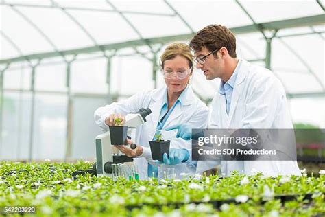 White Lab Environments Photos And Premium High Res Pictures Getty Images