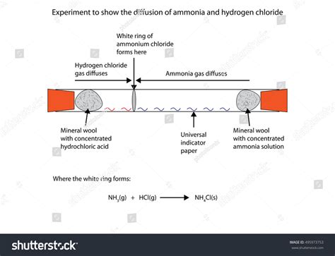 Labelled Diagram Show Diffusion Ammonia Hydrogen Stock Vector Royalty